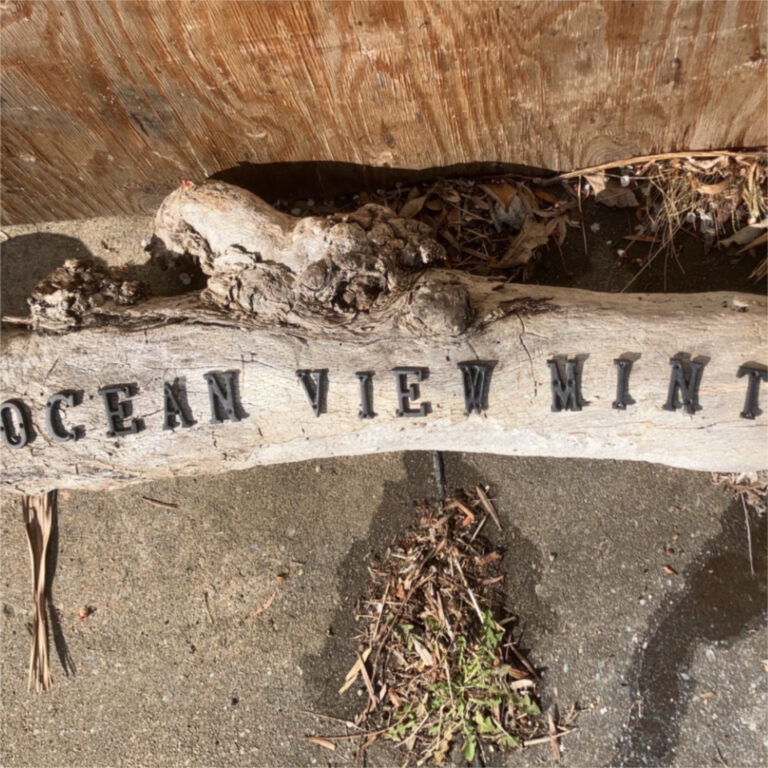 南房総 貸別荘 OCEAN VIEW MINT 千倉-Ocean Mint